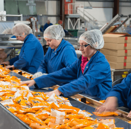 Industrial Support Services - Culina Group